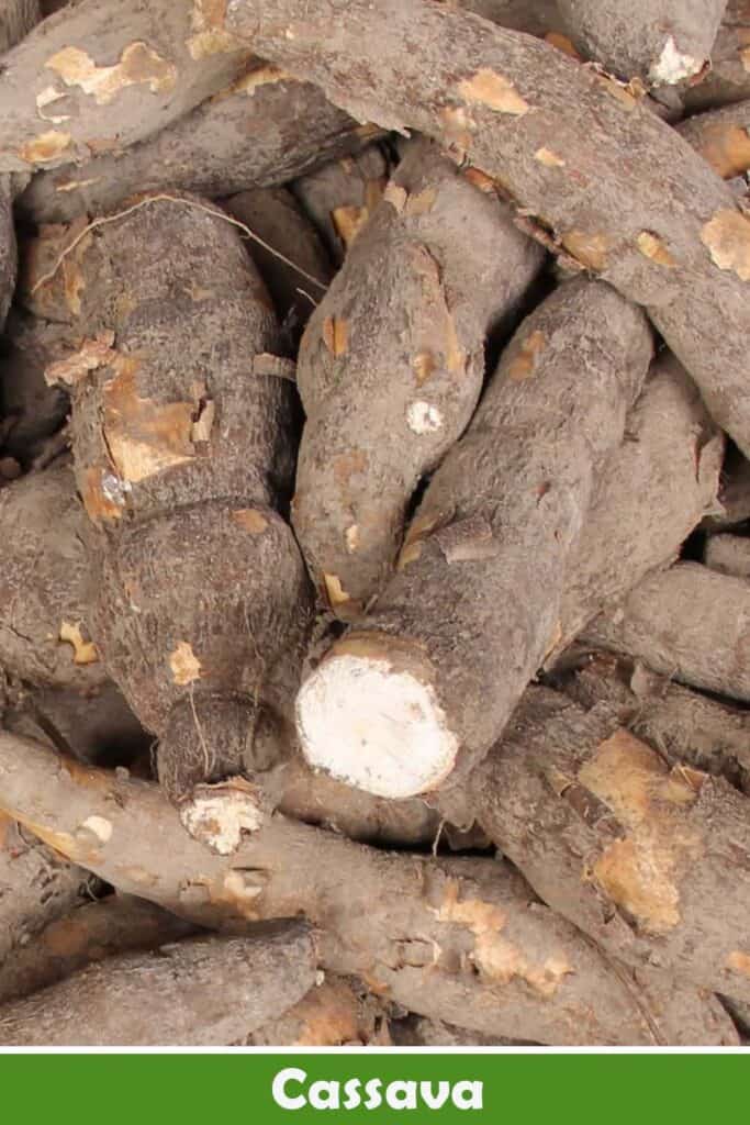 Yuca Juice: Recipe, Benefits and Warnings