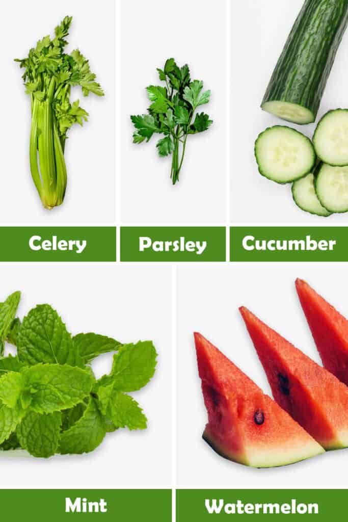 Watermelon, Celery, Mint, Parsley and Cucumber Juice