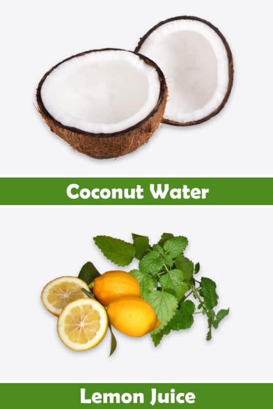 Coconut Water and Lemon Juice