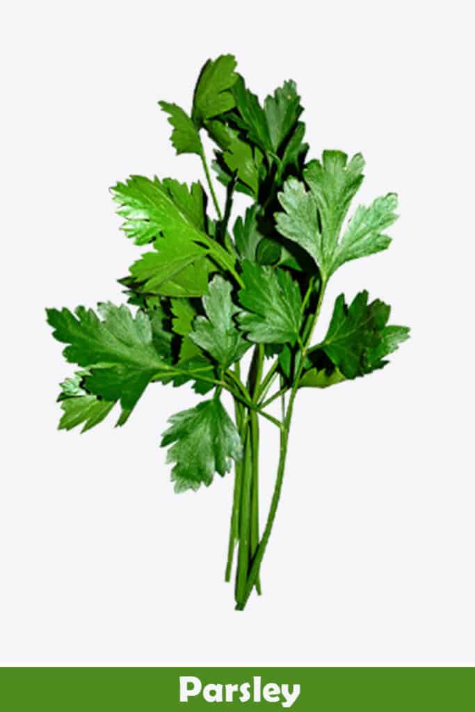 Parsley Juice: Easy Recipe, Benefits and More